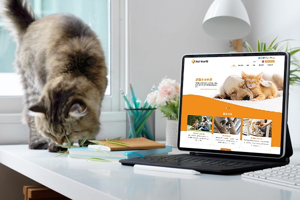 參考範例 - RWEB.HK (Advanced Web Solutions Ltd.)